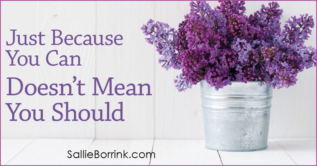 Just Because You Can Doesn't Mean You Should - A Quiet Simple Life with ...