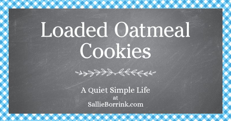 Loaded Oatmeal Cookies Recipe | Sallie Borrink