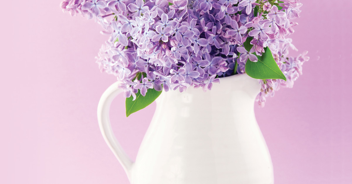 Blessed With a Small Life | A Quiet Simple Life