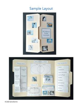 Polar Animals Lapbook - Printable Activity | Sallie Borrink