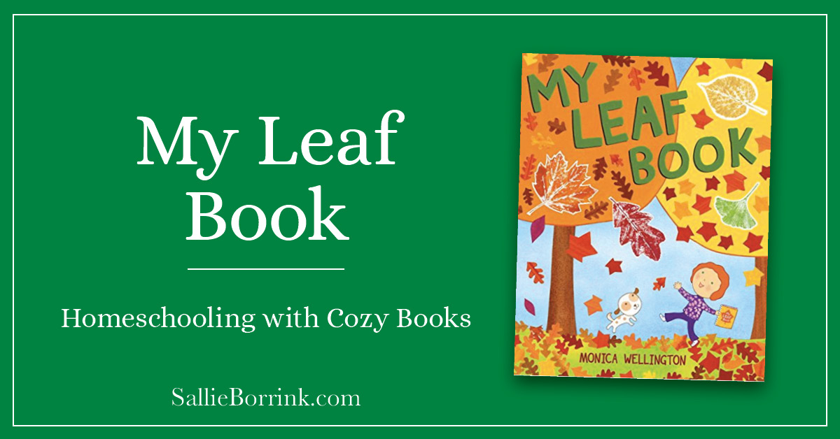 Baby Einstein Alphabooks & Board Book Sets | Sallie Borrink