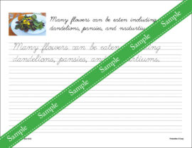 Flowers & Plants Copywork | Print & Cursive Worksheets | Sallie Schaaf ...
