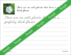 Flowers & Plants Copywork | Print & Cursive Worksheets | A Quiet Simple ...