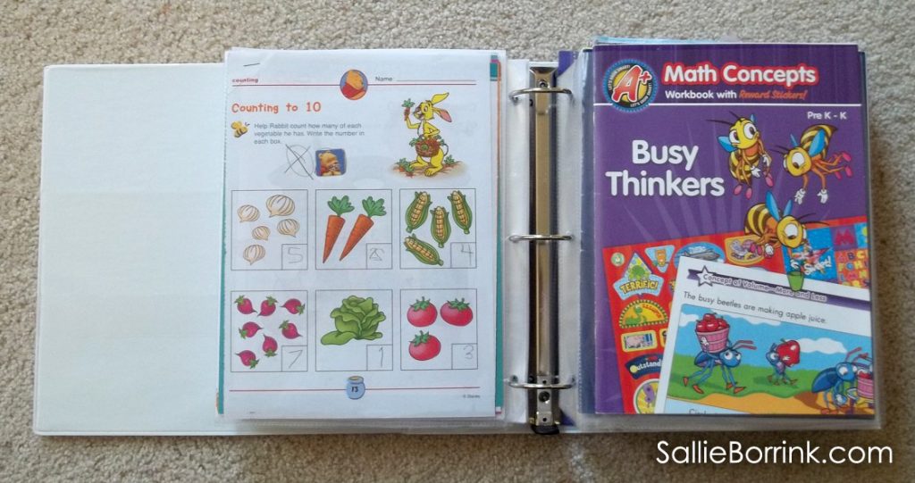 Organizing Homeschool Paperwork in Binders | Free Printable | Sallie ...
