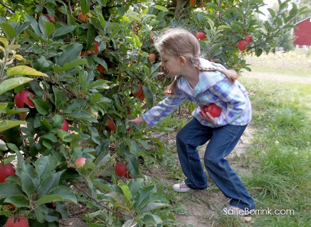 100 Field Trip Ideas for Homeschoolers | Free Printable | A Quiet ...