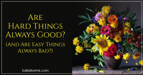 Are Hard Things Always Good? (And Are Easy Things Always Bad?) | Sallie ...