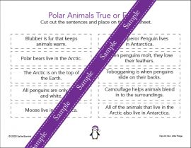 Polar Animals True or False | Printable Activity | Sallie Schaaf Borrink