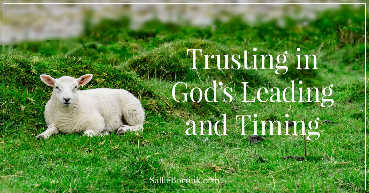 Trusting in God's Leading and Timing - A Quiet Simple Life with Sallie ...