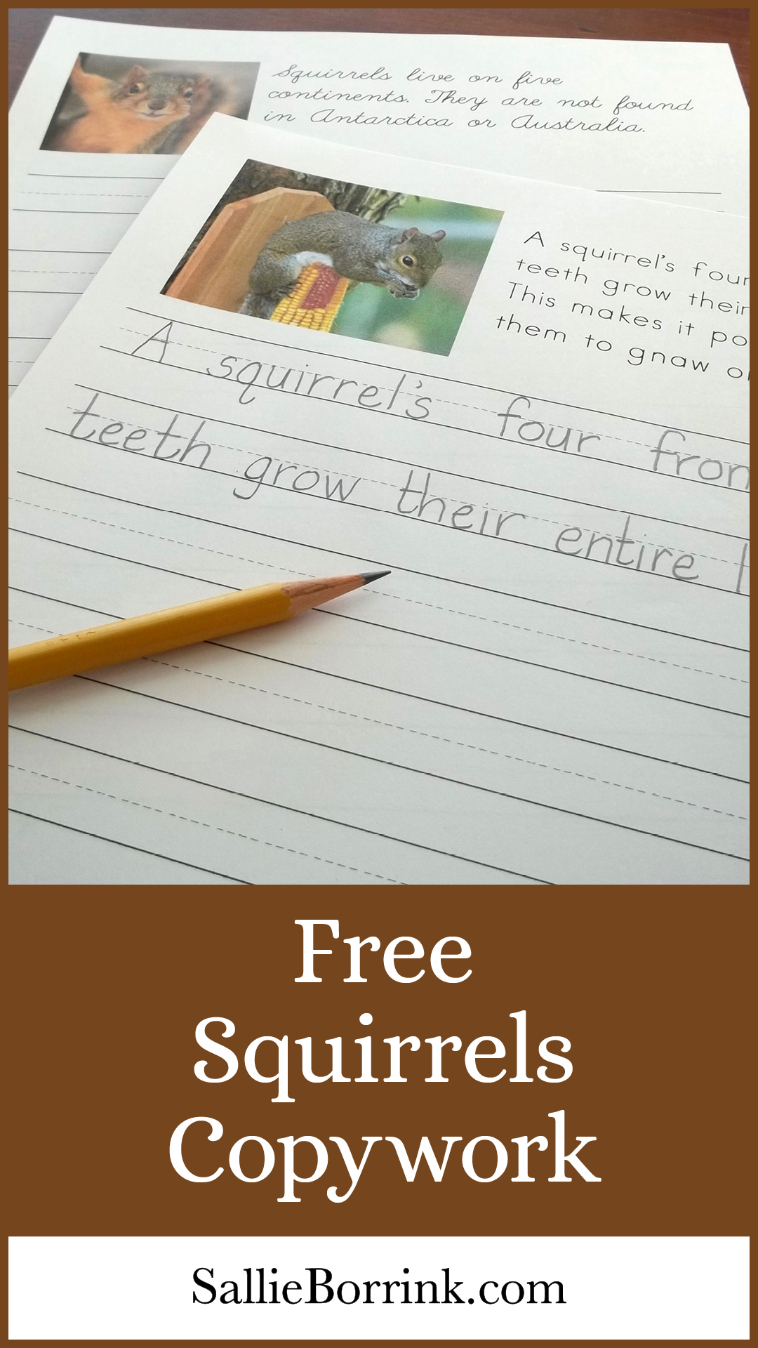 Free Squirrels Copywork for Homeschoolers | Sallie Borrink