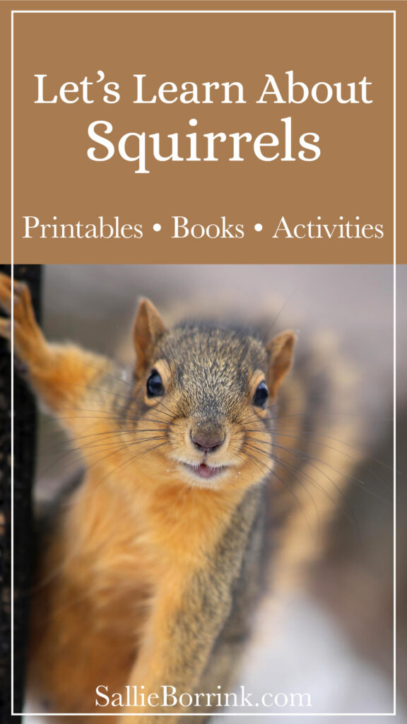 Squirrels Unit Study | Sallie Borrink