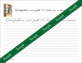 Birds Copywork | Print & Cursive Worksheets | A Quiet Simple Life