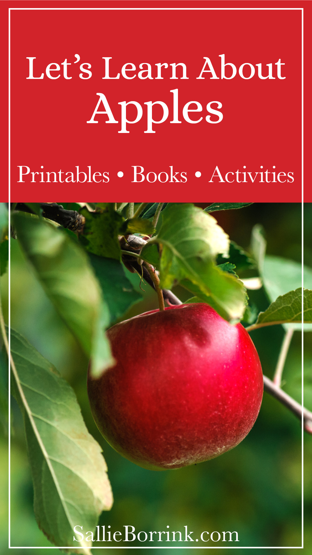 Apples Unit Study | Sallie Borrink