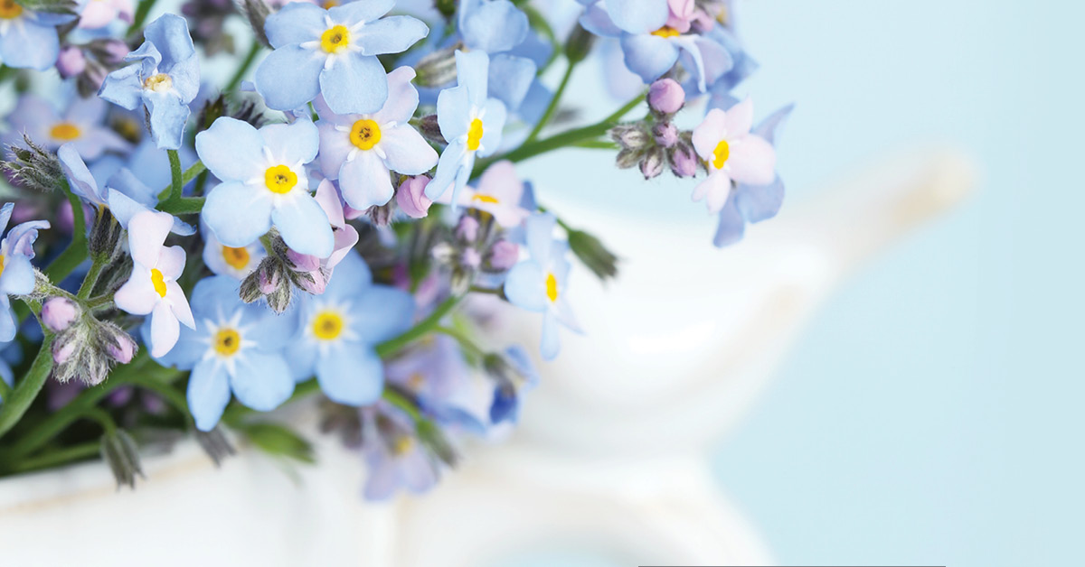 Cultivating Contentment - The Faithful Christian Woman