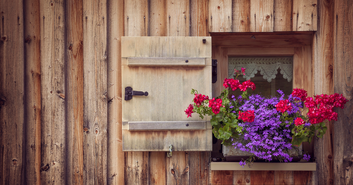 Quotes From The PBS Series “Frontier House” | Sallie Borrink