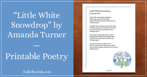 “Little White Snowdrop” by Amanda Turner | Printable Poem | Sallie ...