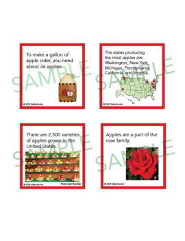 Apples Fun Fact Cards | Printable Activity | Sallie Borrink