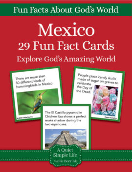 Mexico Fun Facts Cards | Printable Activity | A Quiet Simple Life