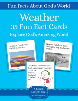 Weather Fun Fact Cards | Printable Activity | Sallie Schaaf Borrink