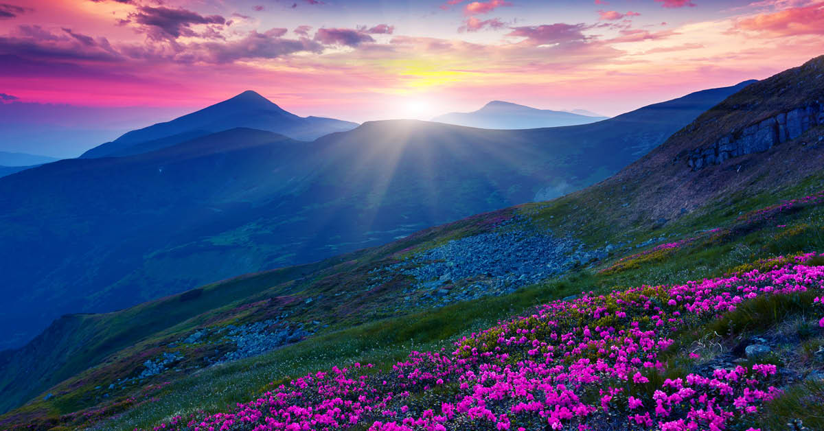 Psalm 24 | Sallie Borrink