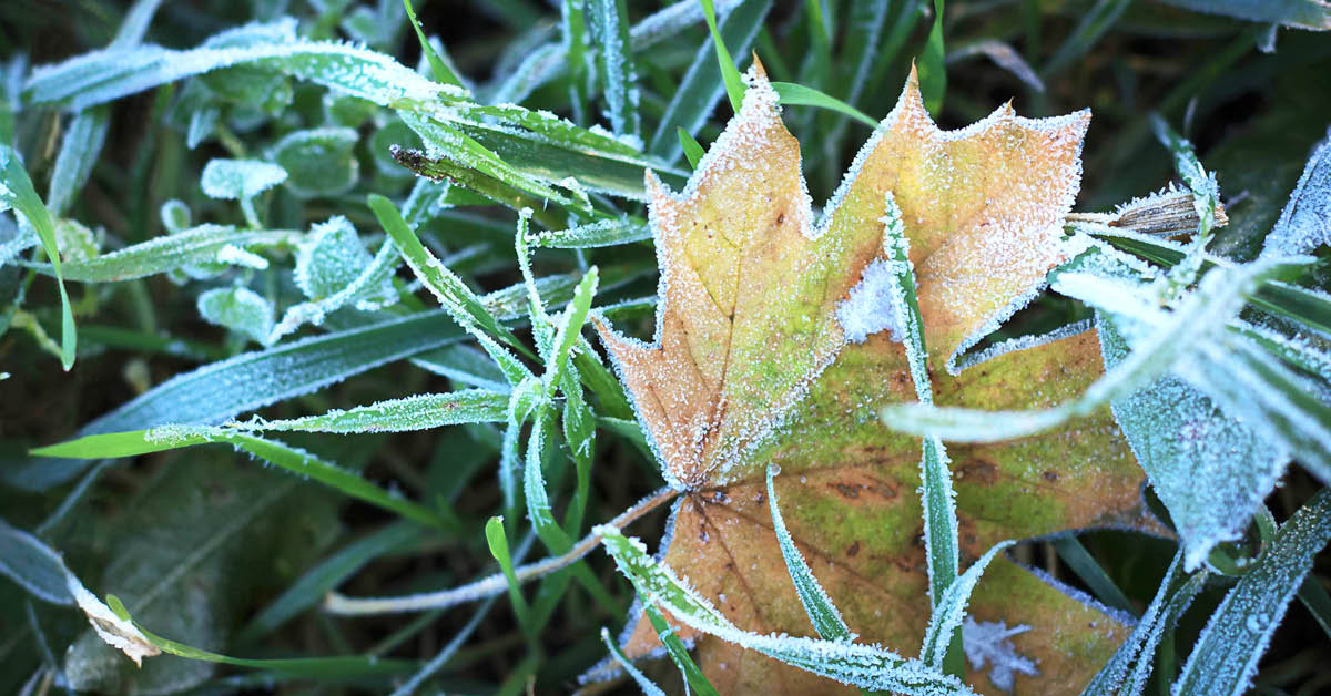 “November” by Alice Carey – Printable Poetry | Sallie Borrink