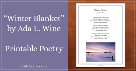 “Winter Blanket” by Ada L. Wine | Printable Poem | A Quiet Simple Life ...