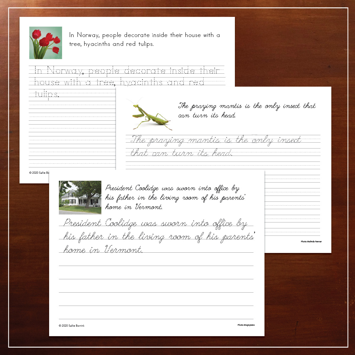 Free Copywork Sampler for Homeschoolers | A Quiet Simple Life