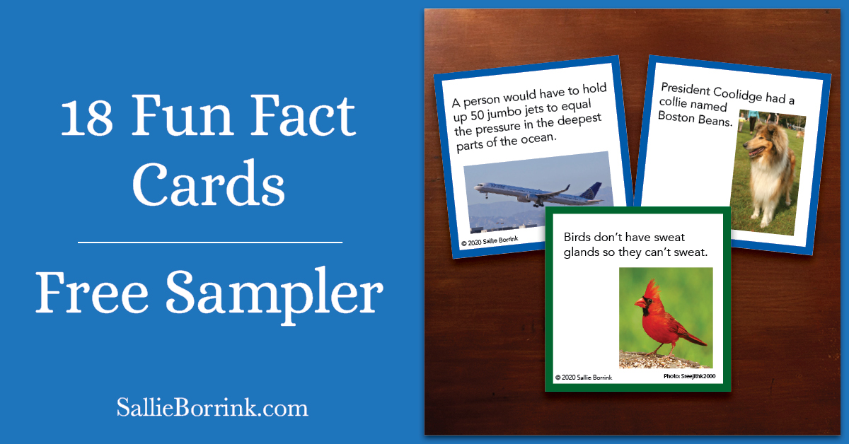 Children Love Learning Fun Facts About the World | A Quiet Simple Life ...