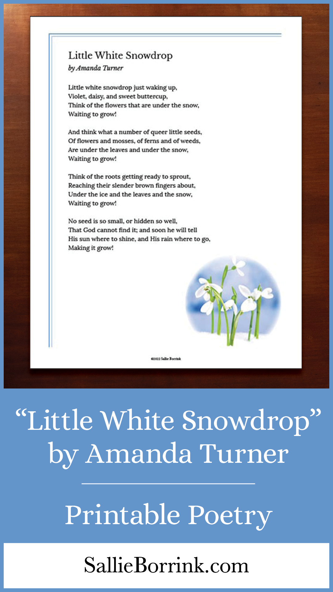 “Little White Snowdrop” by Amanda Turner | Printable Poem | Sallie ...
