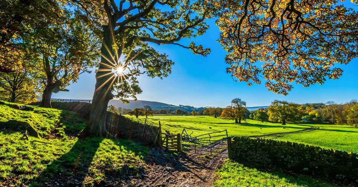 Tickler List for Premium Content | Sallie Schaaf Borrink